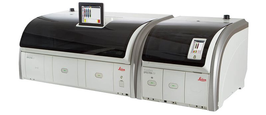 Teñidores y Montadores - Newpath Chile