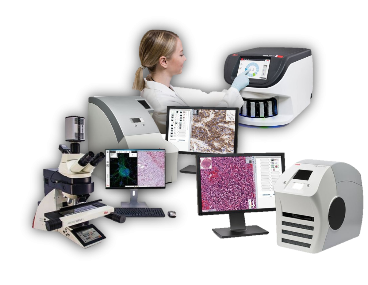 Scanner de Láminas - Newpath Chile