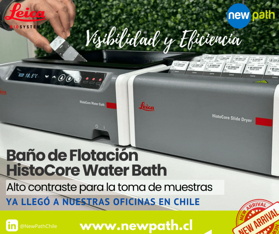 Inicio - Newpath Chile